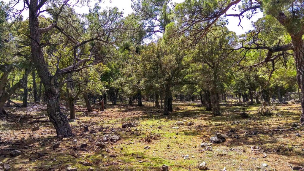 Zonari - Neraidogoula Cave in Selakano valley | East Crete Travel Guide