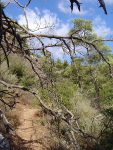 Pefki Gorge, Makrigialos South Crete | East Crete Travel Guide