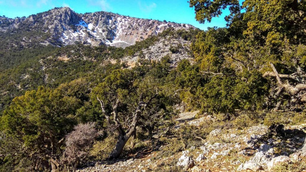 Omalos Plateau, Viannos East Crete Travel Guide Natural sights